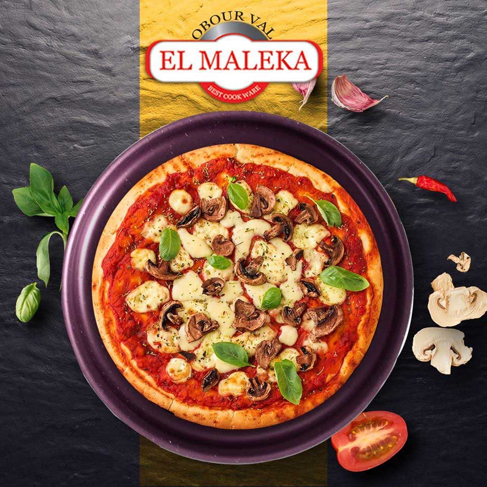 El Maleka, web hosting services in egypt, Digital Marketing in egypt ...